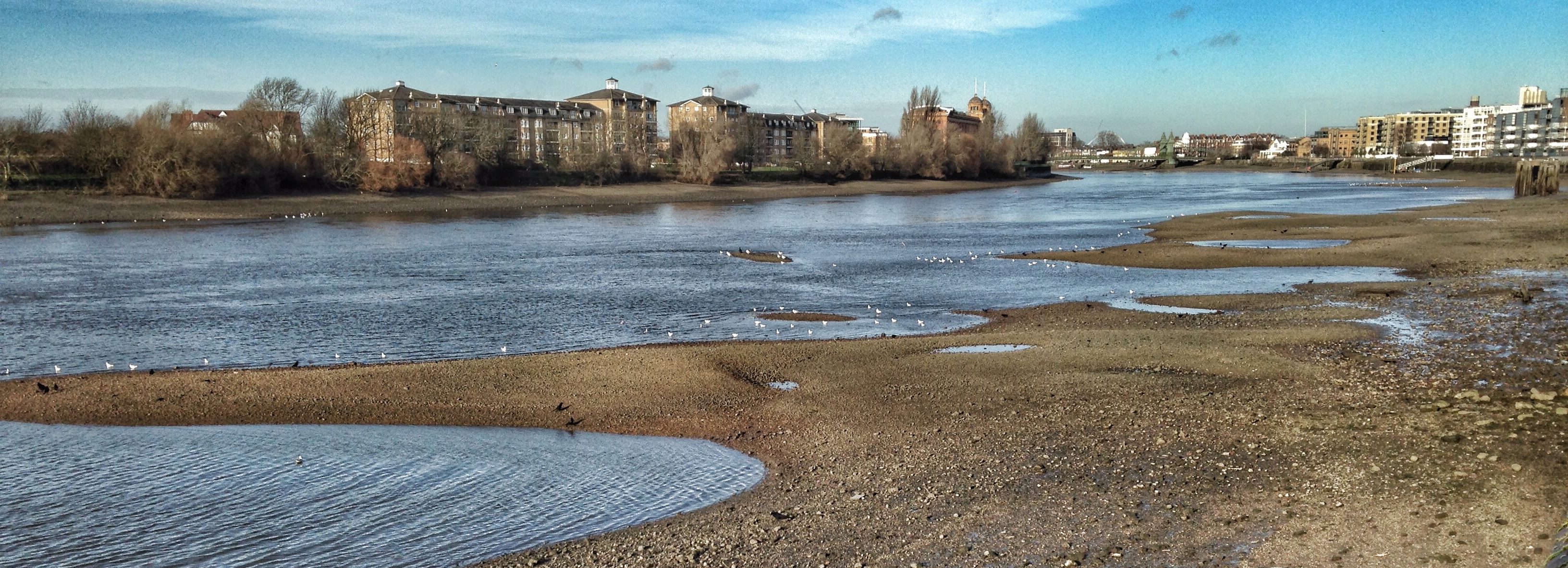 Learning Materials - Spatial-Ecology